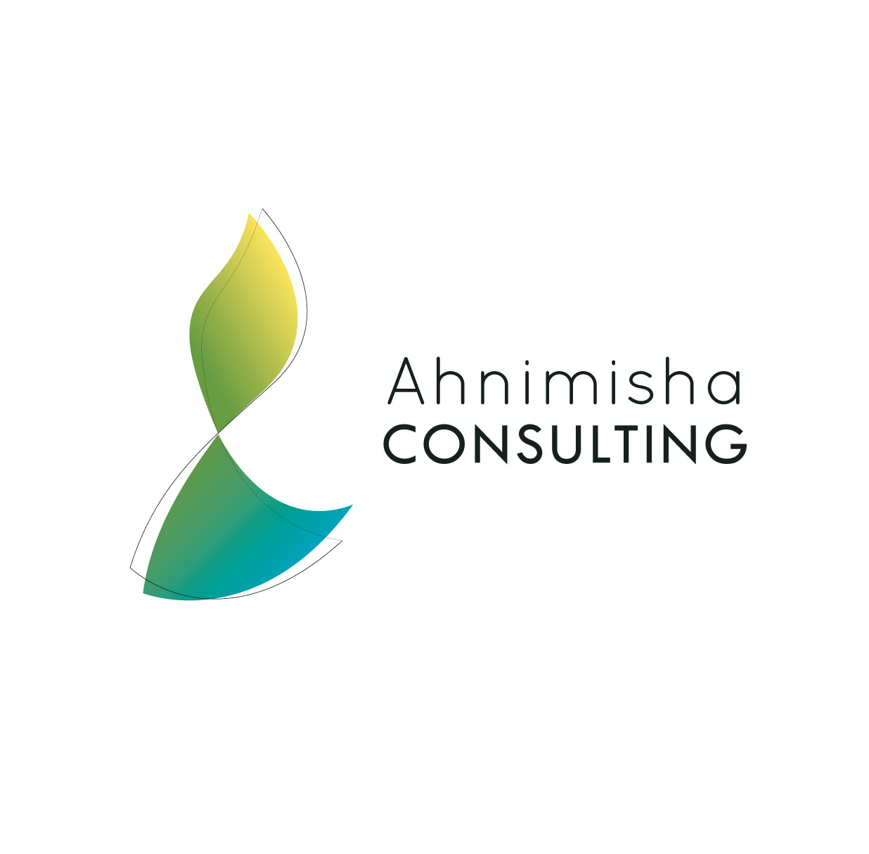 Business Consulting Company | Ahnimisha Consulting in Fayetteville, AR
